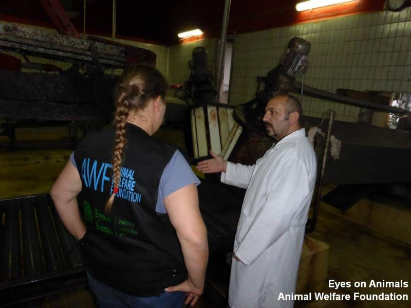 Visit of three Turkish slaughterhouses - Halal Slaughter Watch